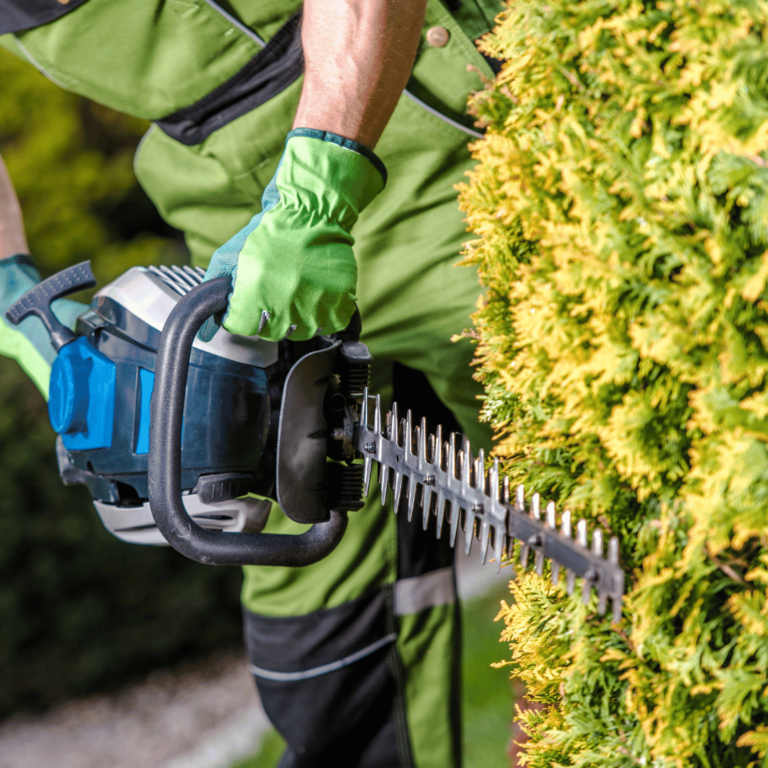 Tree Pruning - Ace Tree Service