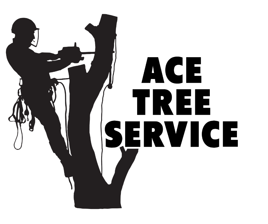 Home - Ace Tree Service
